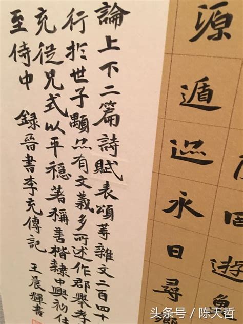 河北書法家王晨輝孟敬訓墓誌入中書協臨帖展 每日頭條