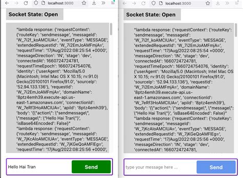 Just Show A Simple Setup With Api Gateway Socket