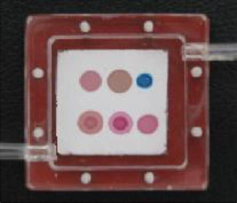 Sensors Free Full Text A Colorimetric Sensor For Qualitative