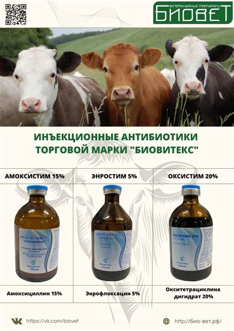 ООО БИОВЕТ (Ветеринарные препараты для животных) | ВКонтакте