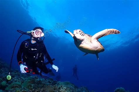 当店の特徴 沖縄県那覇市でダイビングならcoco Ocean沖縄
