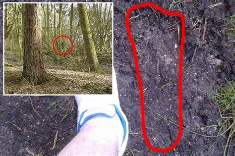 Is Bigfoot In Britain Mysterious Figure Lurking In Lincolnshire Woods