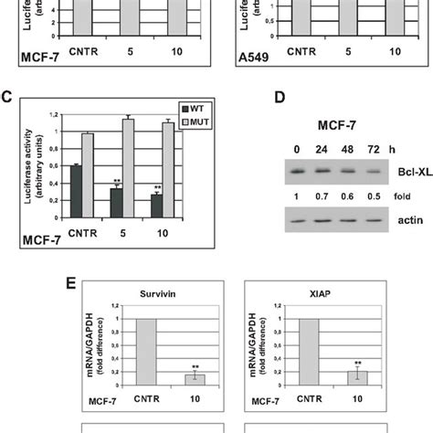 Trabectedin Represses Nf κb Reporter Plasmid Activity A Five Days