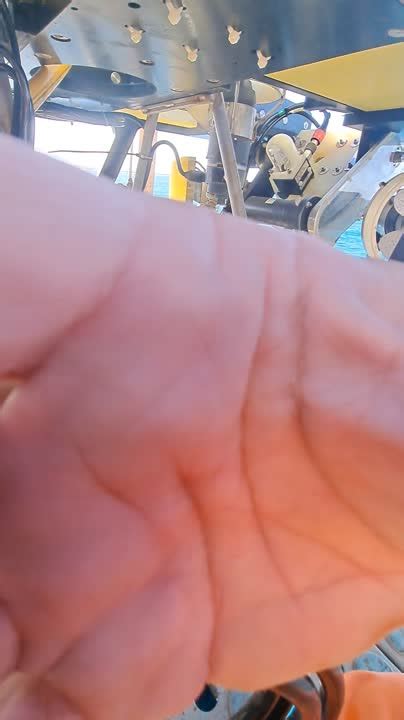 Emadeldin Kamel Ali On Linkedin Impresub International Idmc Impresub Diving And Marine Contractor Srl