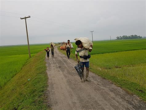 Myanmars Rohingya From Genocide To Forced Conscription Dvb