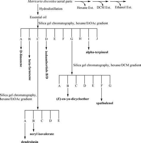 Flow Chart Depicting The Bioassay Directed Fractionation Pathway Used Download Scientific