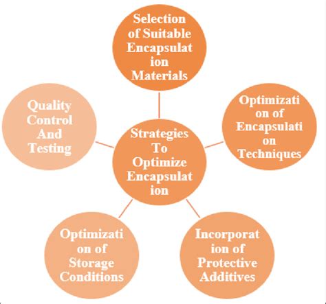 Strategies To Optimize Encapsulation Download Scientific Diagram