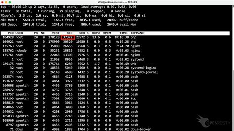 線上定位 Php 程序中的大記憶體物件（使用 Openresty Xray） Openresty 官方部落格