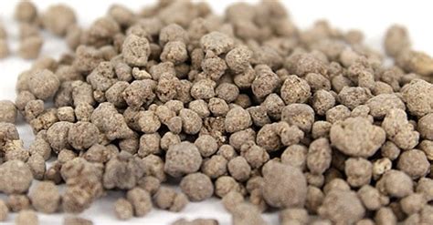 Synthetic Gypsum Processing