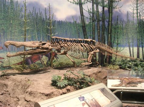 Lessons From The Past The Triassic Extinction Teaches Us About The