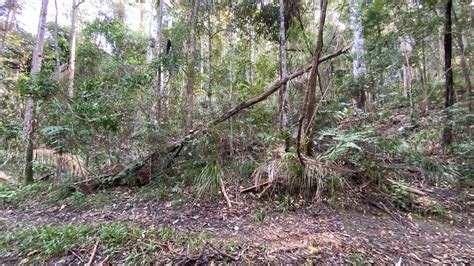 Snap Of Hidden Python Has Facebook Users Stumped Can You Ssspot It The Us Sun