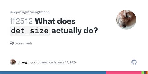 What Does `detsize` Actually Do · Issue 2512 · Deepinsightinsightface · Github