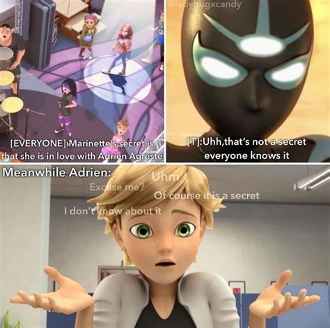 Pin By Kimberly Lemons On Miraculous Ladybug And Chat Noir Miraculous