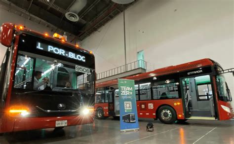 Quiénes Pueden Viajar Gratis En El Metrobús De La Cdmx