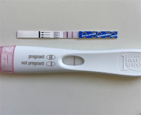 Positive Ovulation Test Cd 3 Rtfablineporn