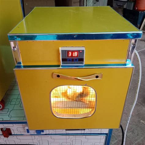 Mini Chiks Brooder 10 Chiks Automatic Temperature Daraz Pk