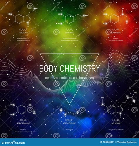 Serotonin And Dopamine Pathway Cartoon Vector 233028709