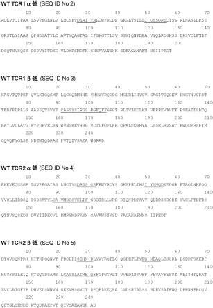 特异性结合分子的制作方法