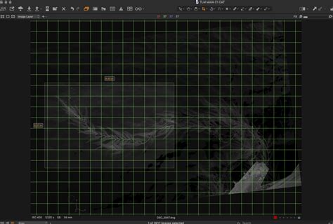 How To Remove The Green Grid While Rotating Home How To Remove The Green Grid While Rotating Home
