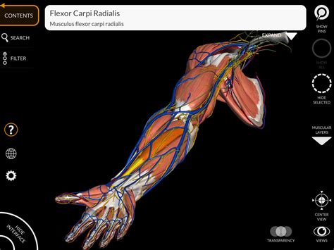 Anatomy 3d Atlas For Android Apk Download