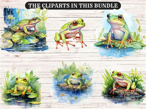 Watercolor Frogs Clipart Pack 18 Png High Quality Clipart Etsy