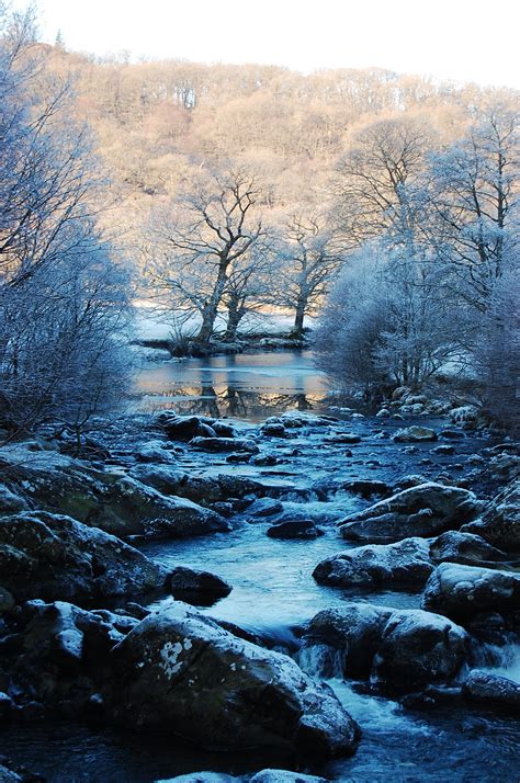 Free Images Landscape Tree Water Nature Forest Outdoor Branch