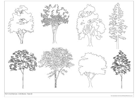 Free Cad Blocks Trees 02 Architectural Trees Landscape