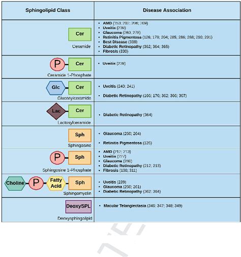 Figure 1 From Sphingolipids As Critical Players In Retinal Physiology