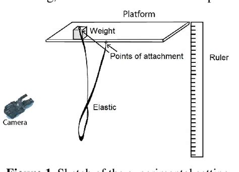Figure 1 From Understanding The Physics Of Bungee Jumping Semantic