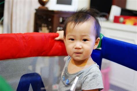 DSC 3455 Ingjye Huang Flickr