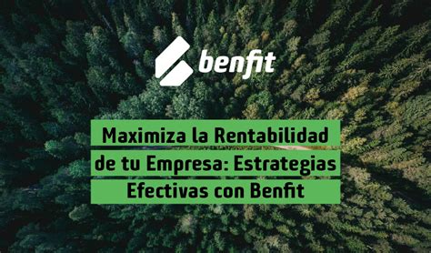 Maximiza La Rentabilidad De Tu Empresa Estrategias Efectivas Con Benfit