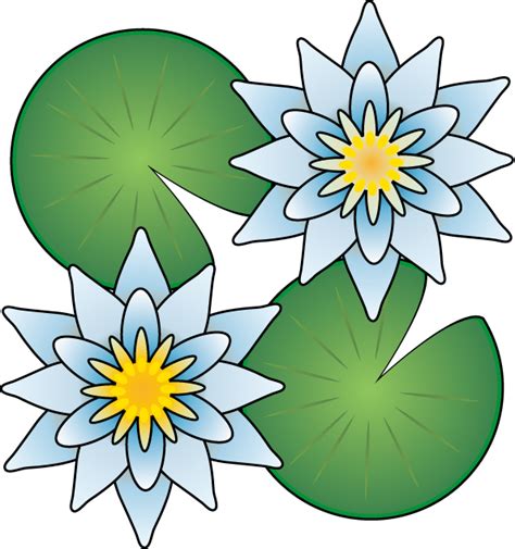夏の花3 08 スイレン 花の無料イラスト素材 イラストポップ