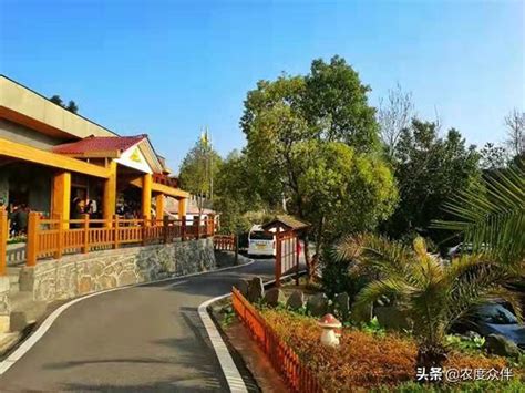 美麗鄉村：湖南省（長沙市）長沙縣，親子研學游 每日頭條