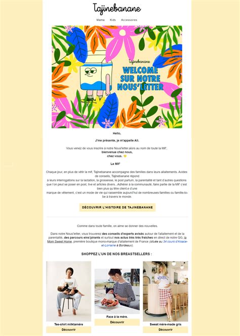 Exemples De Newsletters Originales The Wonder Success