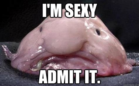 Sexy Blobfish Memes Quickmeme