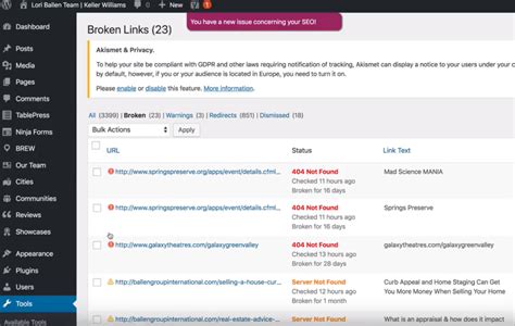 How To Check Broken Links On Your Wordpress Website Ballen Brands