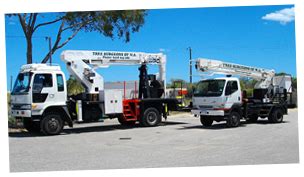 Tree Surgeons Of WA Home