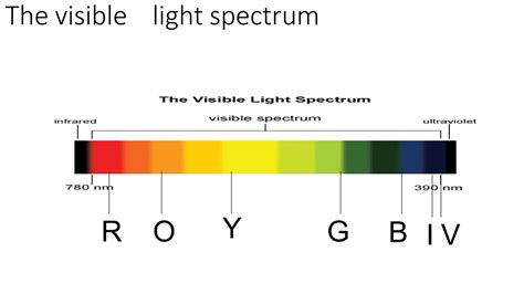 Spectrophotometer Pdf