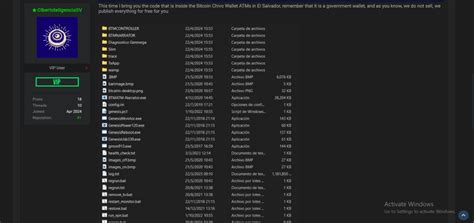 El Salvador Bitcoin Wallet Hack Attackers Leaked Source Code The