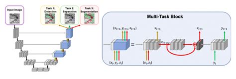 A Multi Task U Net For Segmentation With Lazy Labels KidML