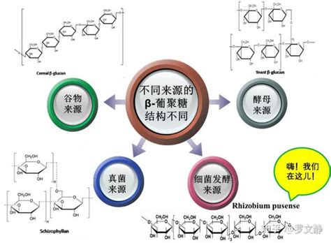 美国疫情放开，销量增长500的β 葡聚糖到底是何方神圣，它是如何活化免疫系统，提高免疫力的？ 知乎