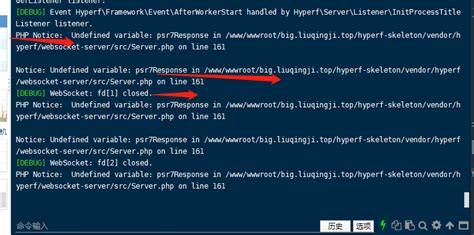 Question Websocket协程客户端使用出错； · Issue 1535 · Hyperfhyperf · Github