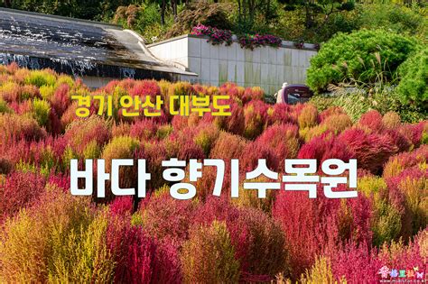 경기 안산 대부도 바다향기수목원
