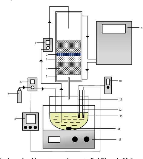 Figure 2 From Effect Of Particle Size On Chalcocite Dissolution Kinetics In Column Leaching