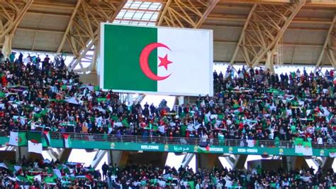 الجزائر في مواجهة السنغال بنهائي كأس أمم أفريقيا للمحليين