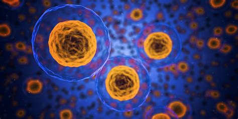 Prinsip Kerja Pcr Serta Penjelasannya Genecraft Labs