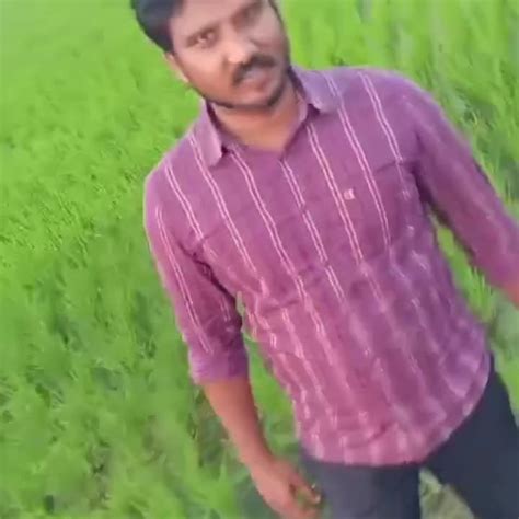 ashish kamal on linkedin optimizing sowing dates can contribute to