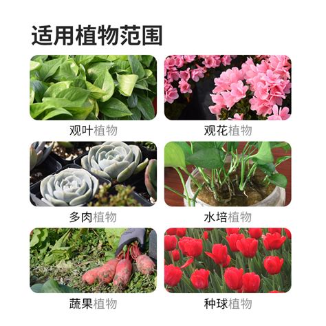 微生物土壤活化剂活化宝矿源黄腐酸钾微生物菌肥松土壤板结改良剂 虎窝淘
