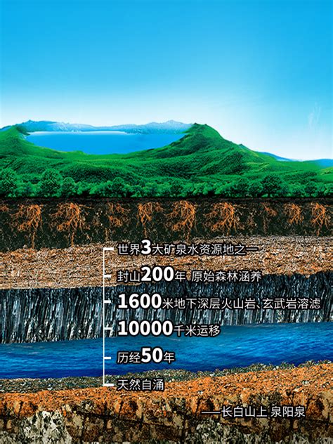 首页 吉林森工集团泉阳泉饮品有限公司