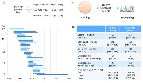 Impact Of FLT3 ITD Diversity On Response To Induction Chemotherapy In Patients With Acute